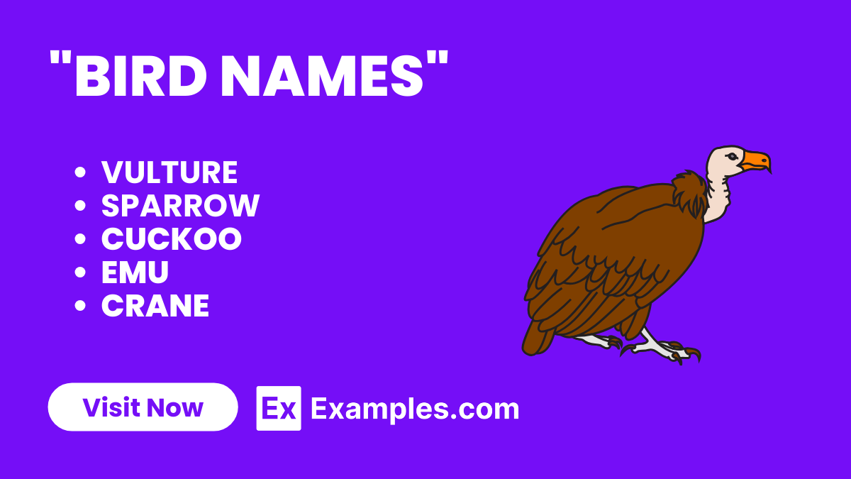 The Allure of Names That Start With E: A Comprehensive Exploration ...