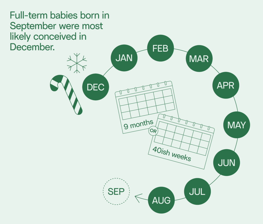 The Most Common Birth Month: A Comprehensive Exploration - Mammy Cares