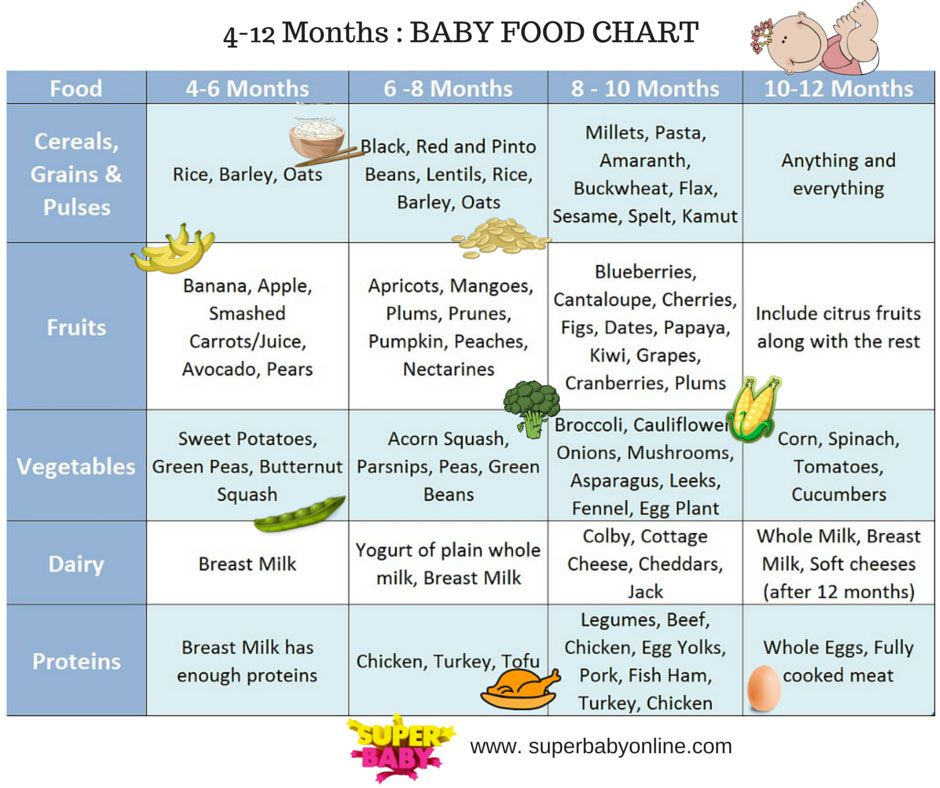 6 To 12 Months Baby Food Chart: A Comprehensive Guide - Mammy Cares